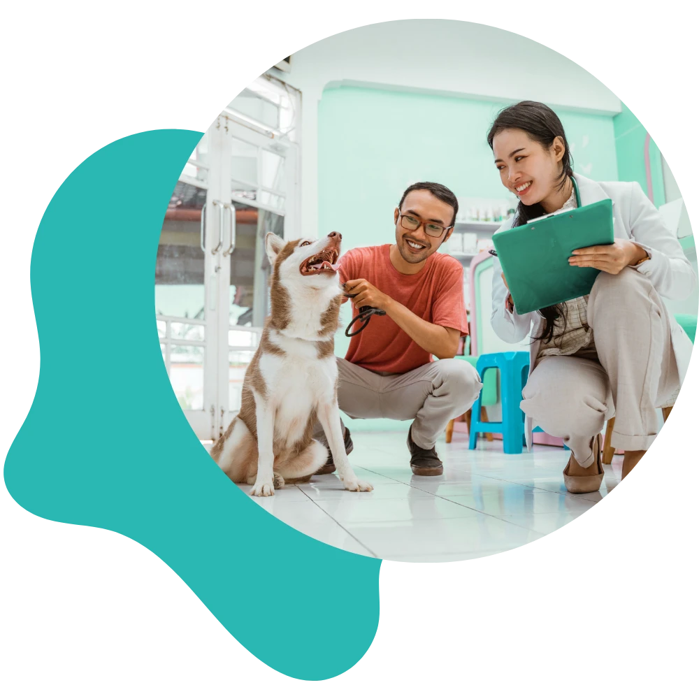 About Our Ottawa Walk-In Animal Hospital | 24/7 Emergency Care